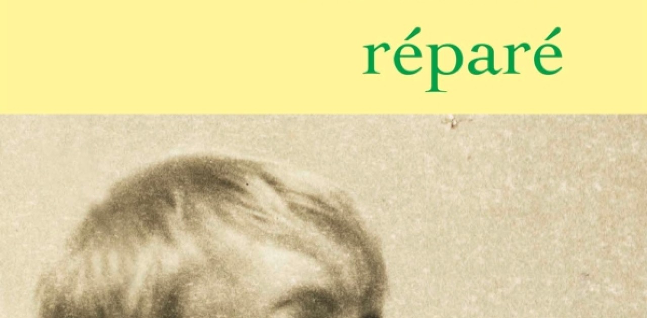 "L'enfant réparé", de Grégoire Delacourt | RCF