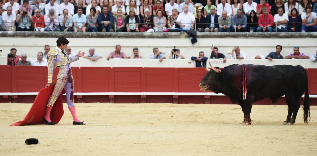 Faut-il abolir la corrida en France ? | RCF