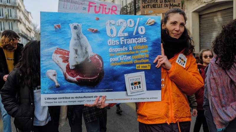 Édito de Julien Dezécot - L'association L214 dévoile une nouvelle vidéo choc de maltraitance ...